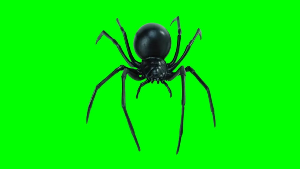 spider green screen video | #kdm_green_tv | green screen effect | - YouTube