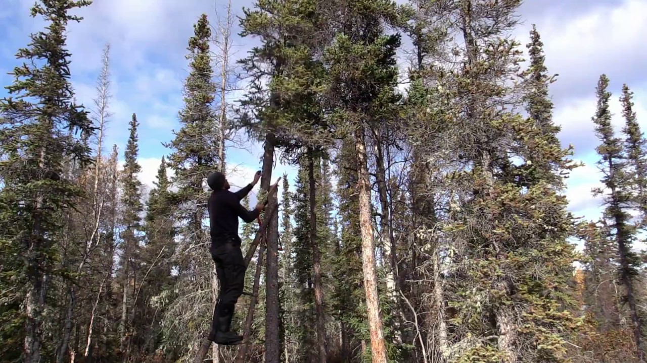 ALONE SEASON 7- 3rd TEASER TRAILER - YouTube