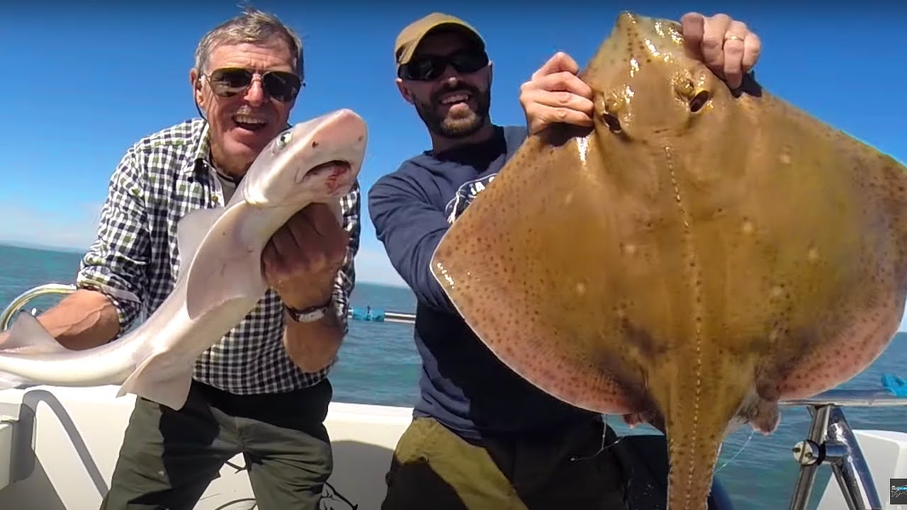Father & Son make Epic Catch - Big Rays, Conger Eel, Smoothound, Bass ...