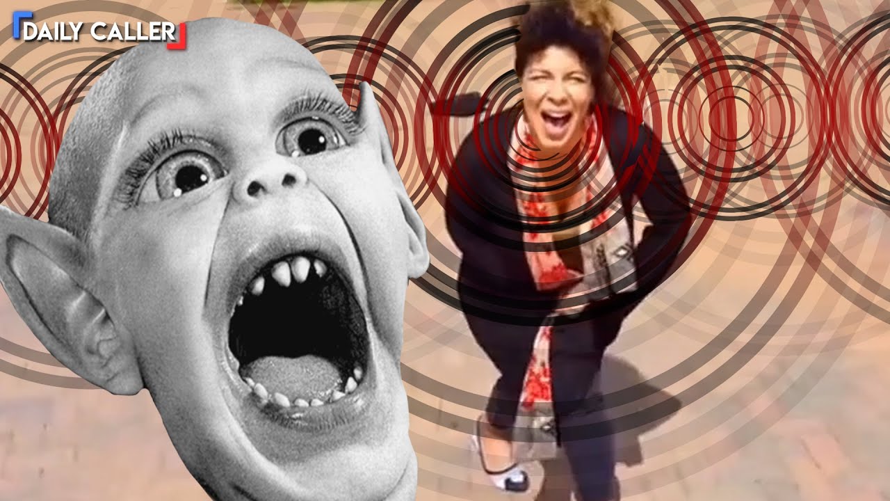 Triggered Liberal Responds With High-Pitched Screaming - YouTube