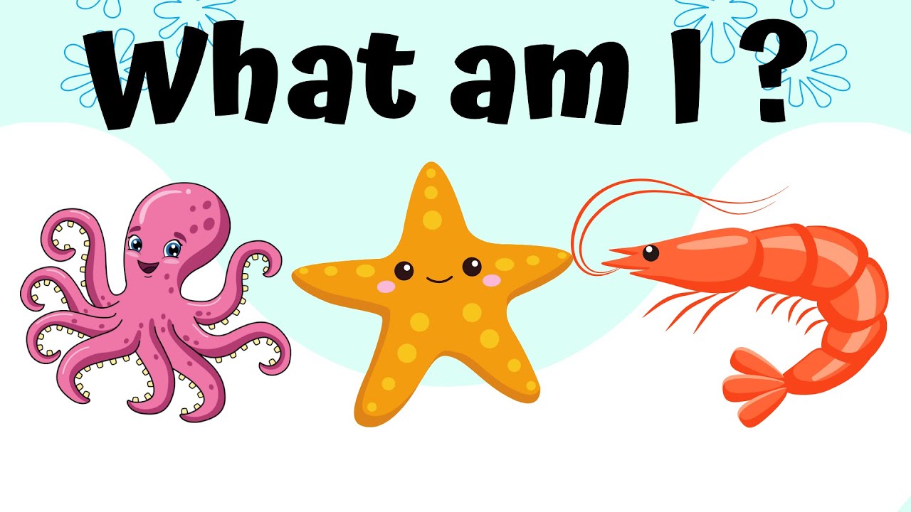 What Am I Quiz for Kids| Easy English Quiz - YouTube