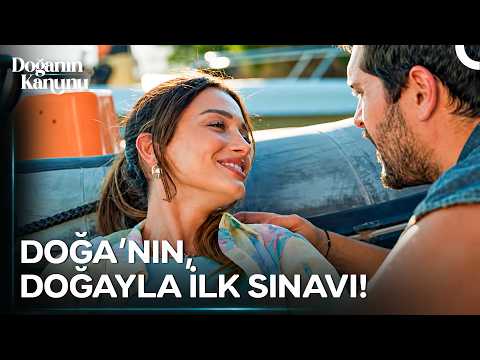 Doğa'nın, Keşif Modu Açıldı - Doğanın Kanunu