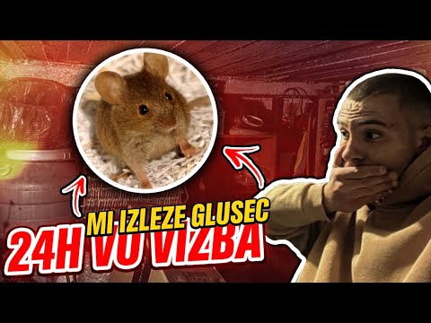 24/7VO VIZBA**MI IZLEZE GLUSEC UZAS** - YouTube