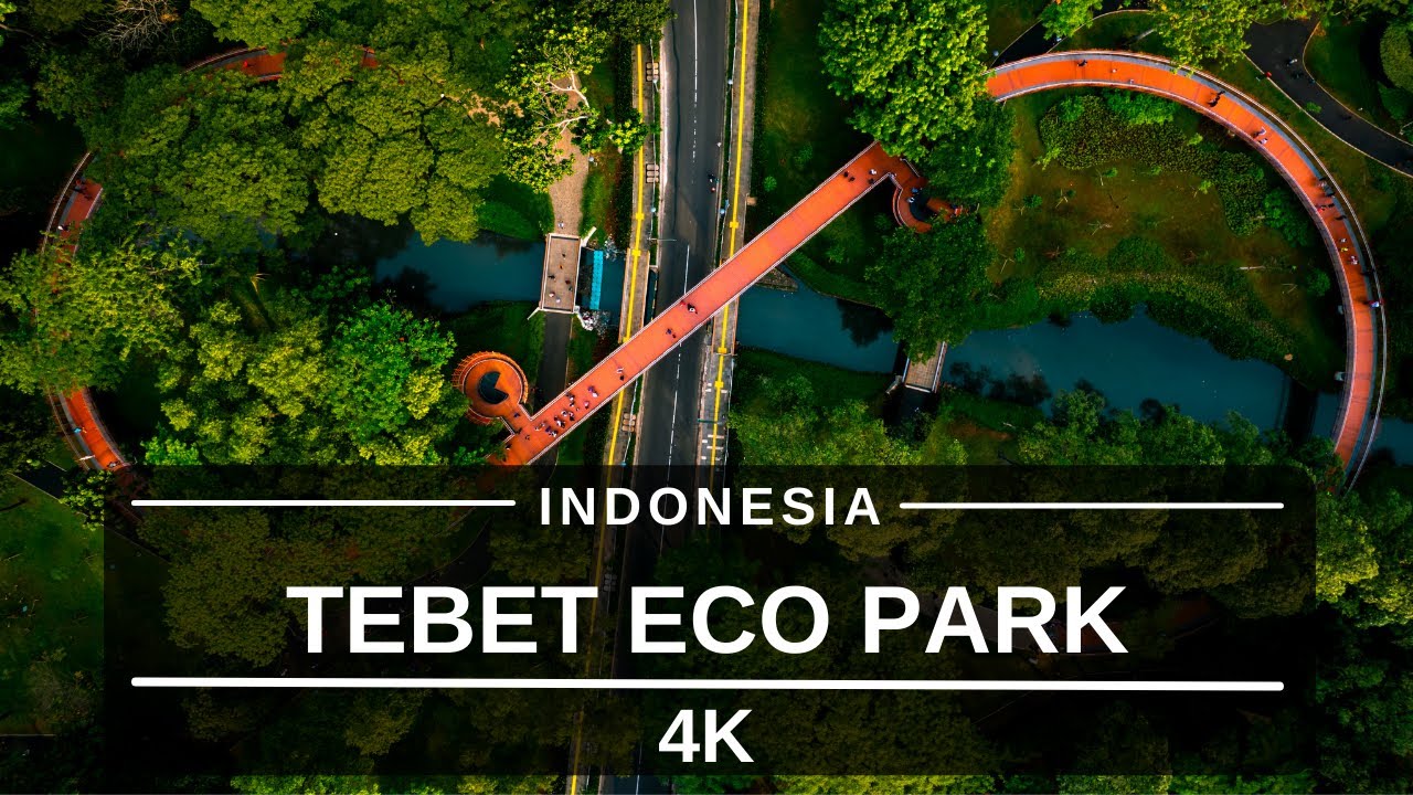 Tebet Eco Park - Indonesia - by Drone [4K] - YouTube
