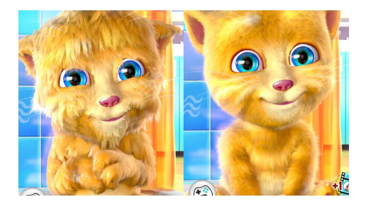 Ginger Cat 😺 singing Jingle - YouTube