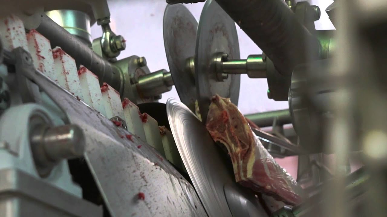 Lamb Chine Machine Technology for Meat Processing - YouTube