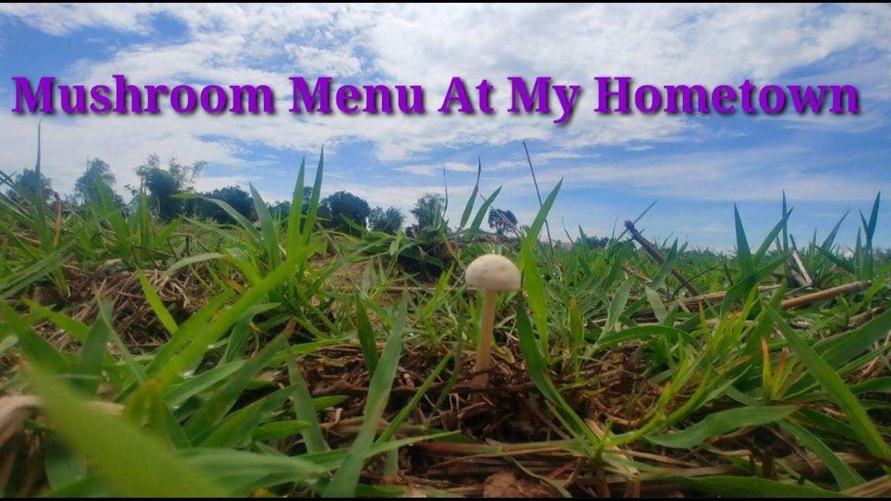 Mushroom Menu,Mushroom Menu at my hometown,How to cook Mushroom,How to ...