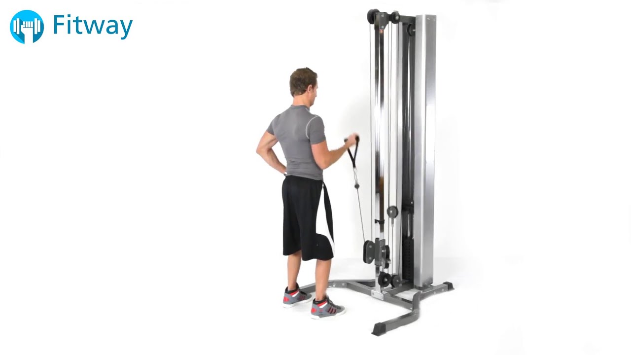 How To Do: Cable Biceps Curl - Underhand Grip Single Arm | Arm Workout ...