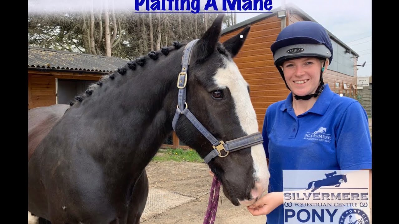 Pony Club Online Episode 6: Plaiting A Mane - YouTube