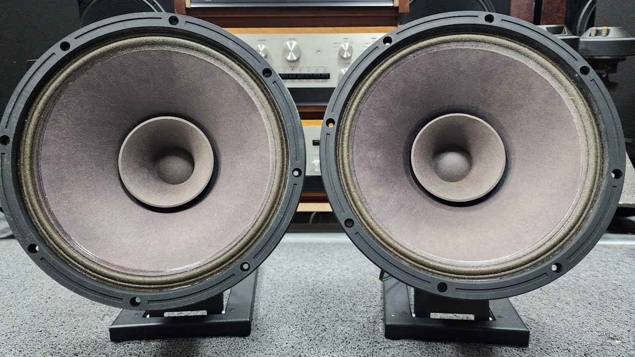 Cặp loa toàn dải Fostex Ps300 - Bass 30, hết số dòng Fostex - zalo ...