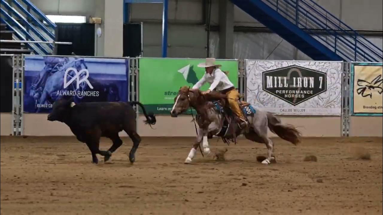 Rio Painter & Electro Magnetic TomCat GSSHA Open Derby - YouTube