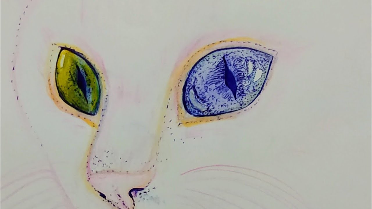 Drawing cat with heterochromia - YouTube