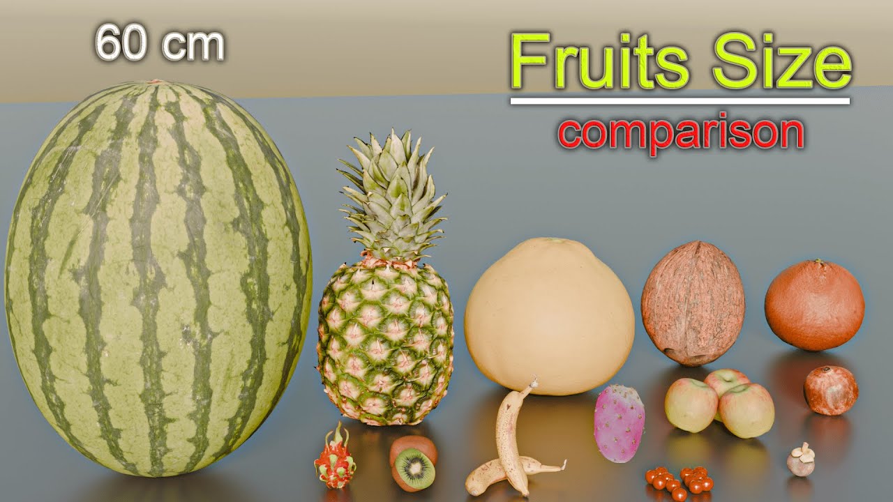 Different Fruits Size Comparison | The Biggest Fruits on the Planet ...