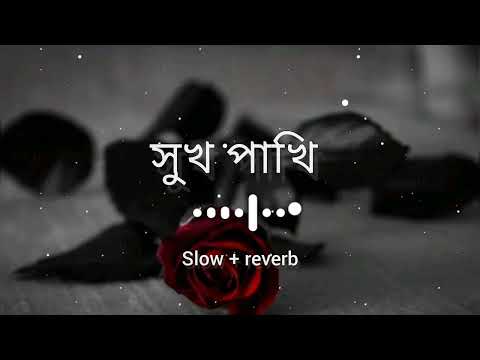 সুখ পাখি তোর প্রেমে মন মজাইয়া আমি / Shukh pakhi tor preme /bm baplu official | F A FUMON | lofi song