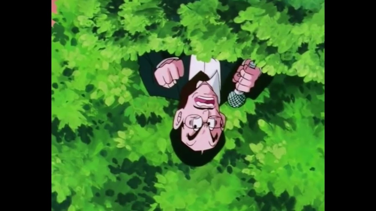 Jimmy Firecracker reporting from this tree - YouTube