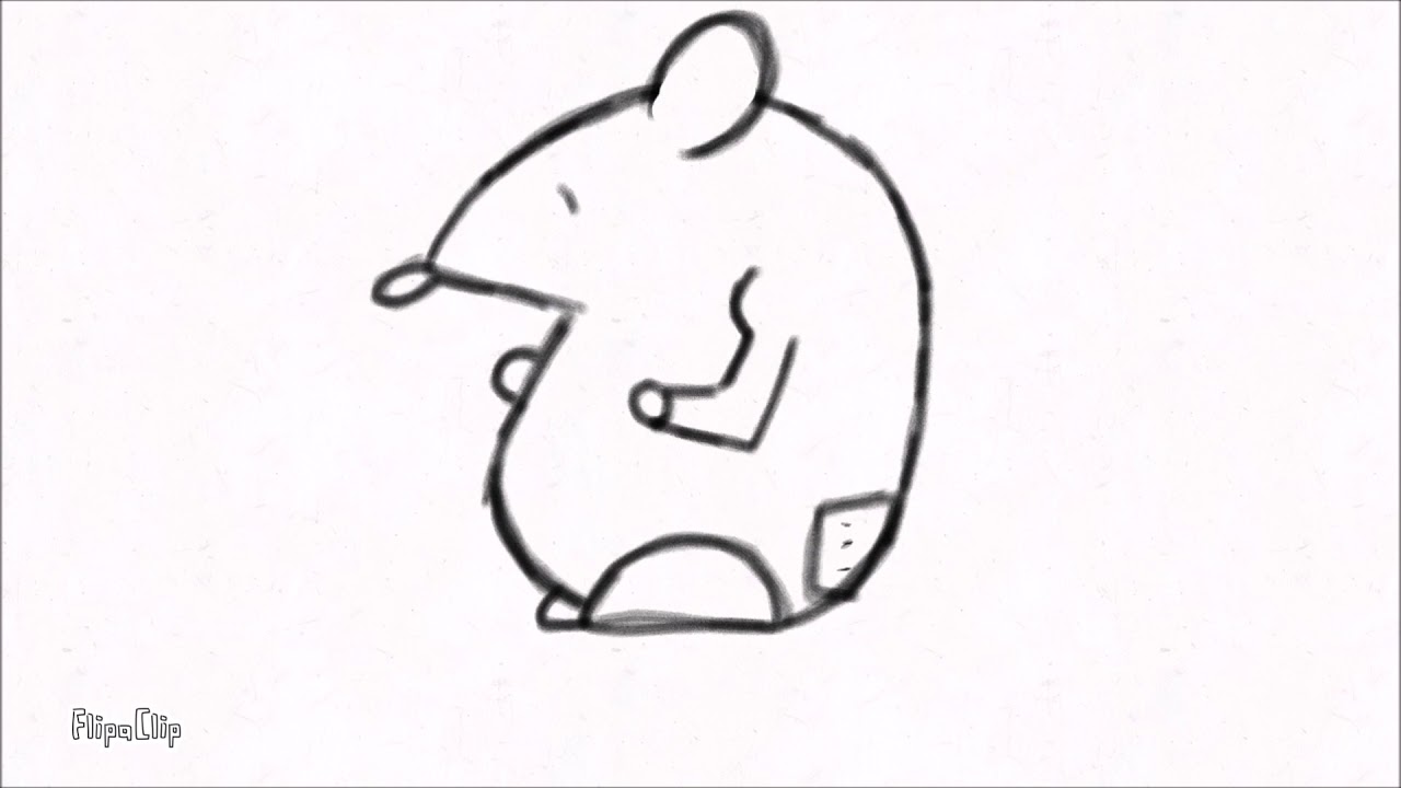Ratón caminando con música cute de fondo - YouTube