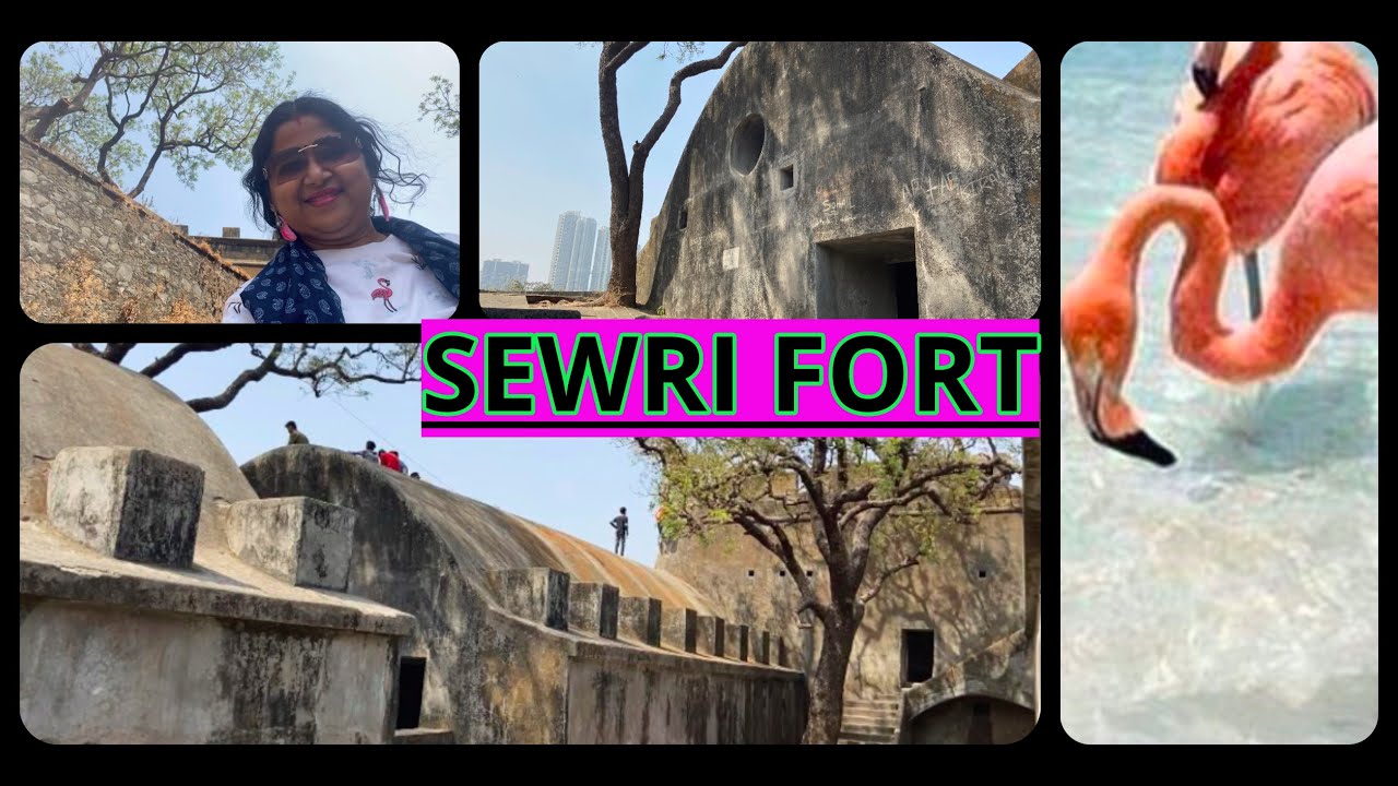 Sewri Fort, Mumbai Sewari fort, Maharashtra Fort, Mumbai ,Perfect time ...