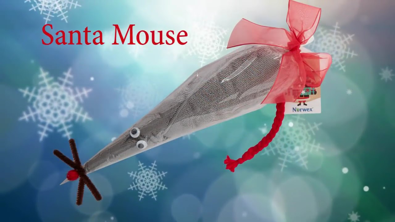 Holiday Gift Idea: Santa Mouse - YouTube
