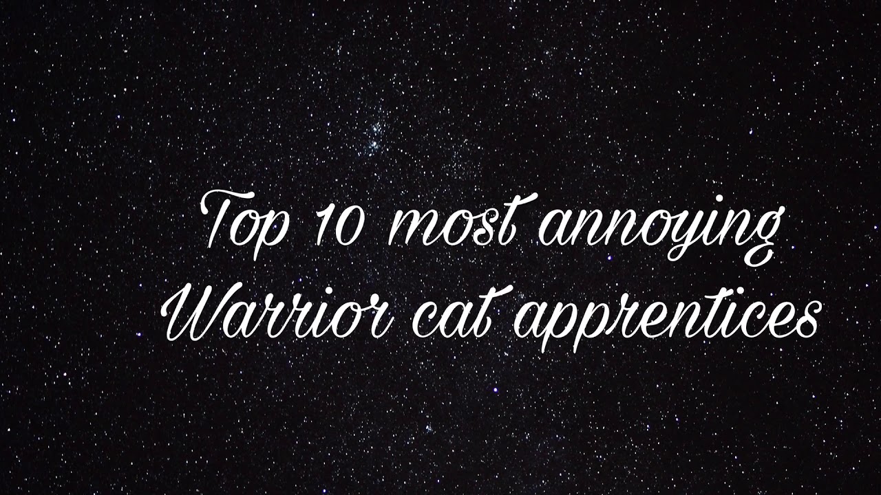 Top 10 most annoying warrior cat apprentices (opinion changed) - YouTube