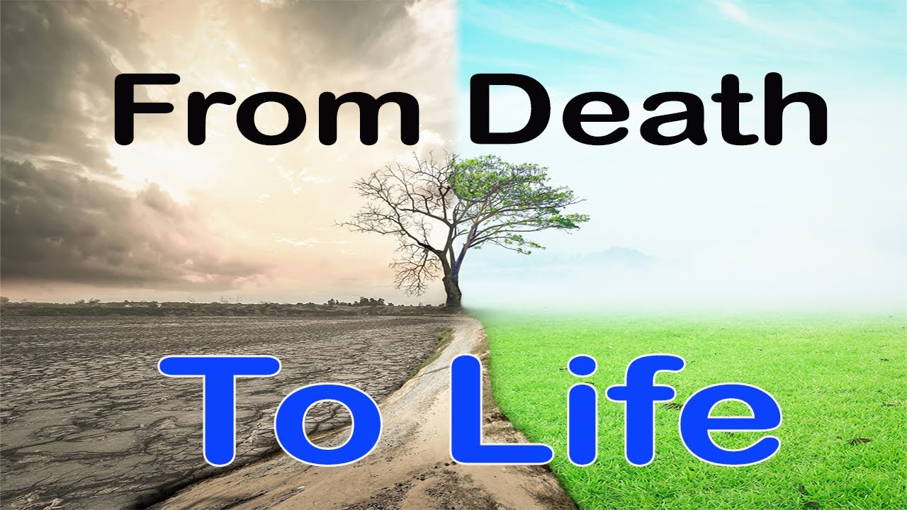 From Death to Life" - YouTube