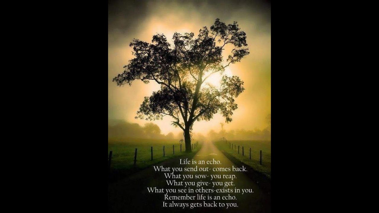 Greg Still Video - YouTube