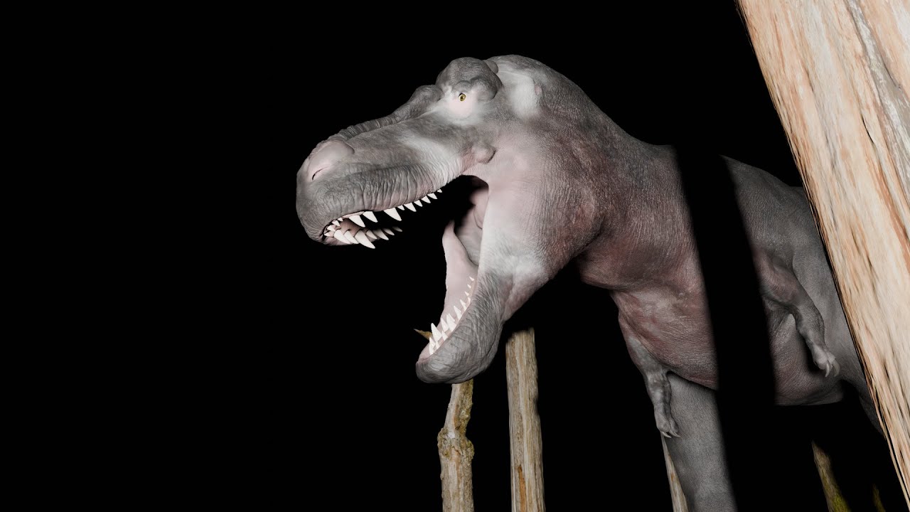 T. rex at Night - YouTube