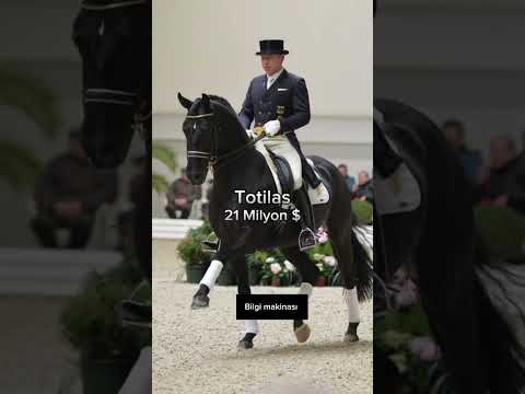 Dünyanın en pahalı atları