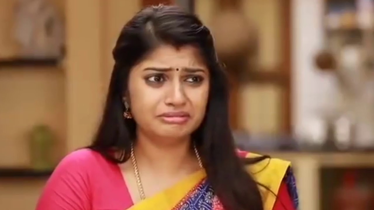 Raja Rani Serial Episode || ராஜா ராணி சீரியல் - YouTube