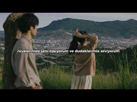 VIDEOCLUB – Roi (Türkçe Çeviri)