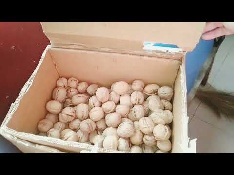 gur candy chocolate ll homemade # घर पर बनाएं llआसान तरीके से गुड कैंडी ...