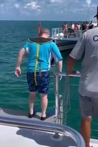 Funny Dive For Snorkeling Without Flippers 🙂 #funny #comedy #fail #shorts #viral #subscribe # ...