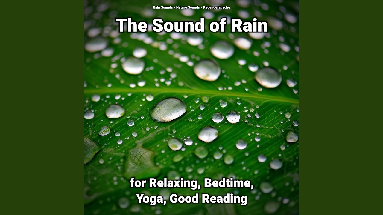 The Sound of Rain for Relaxing and Yoga Pt. 87 - YouTube