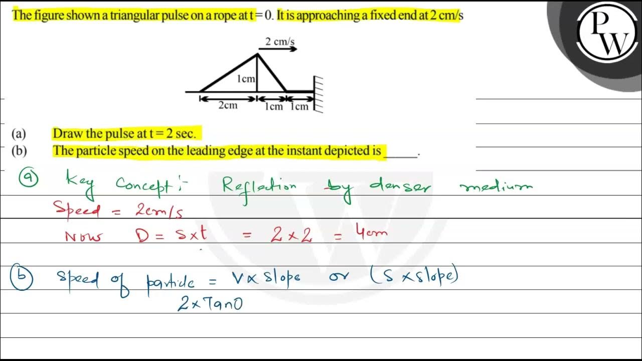 The figure shown a triangular pulse on a rope at \( t=0 \). It is a... - YouTube