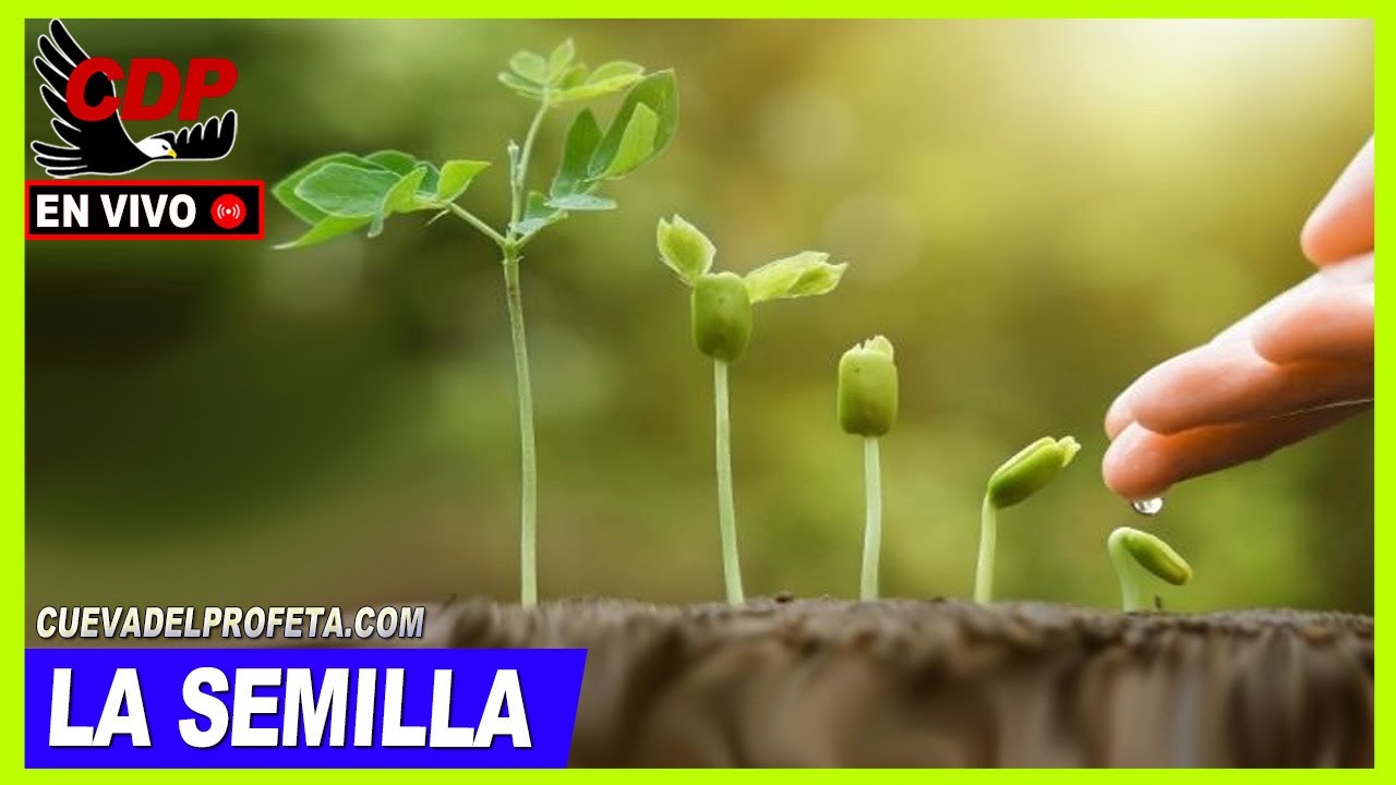 65-0429B La Simiente No Heredará Con La Cáscara - YouTube