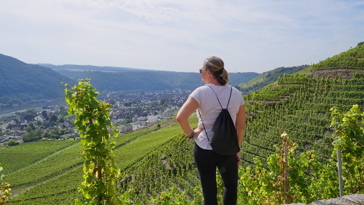 Person looking out over a sprawling valley filled with vineyards ...