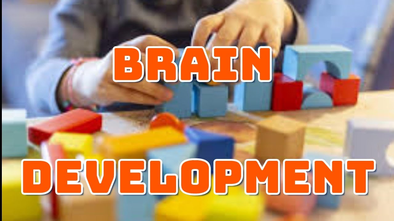 Child Brain Development - YouTube