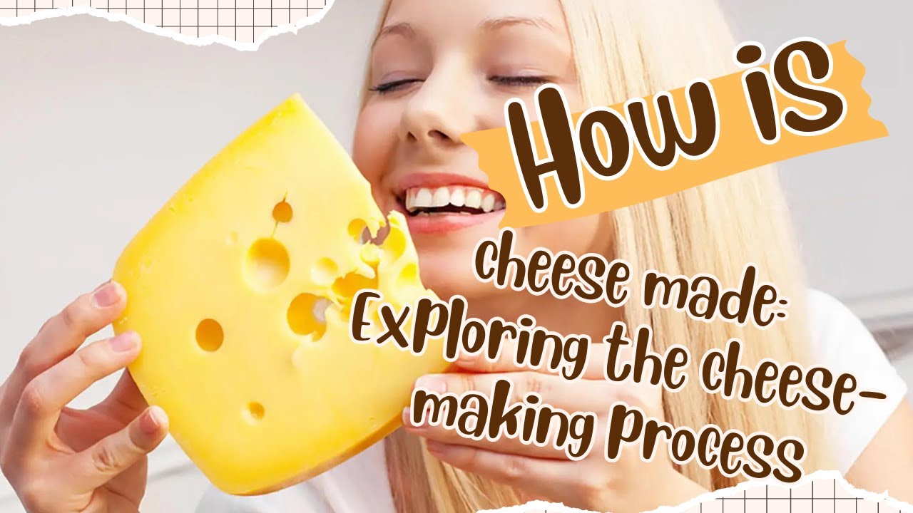 How is cheese made: Exploring the cheese-making process - YouTube