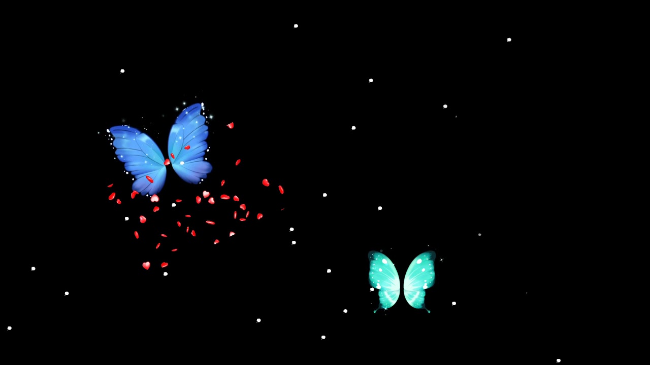 Butterfly Effect Black Screen Video | #Butterflyvideo | Video ...