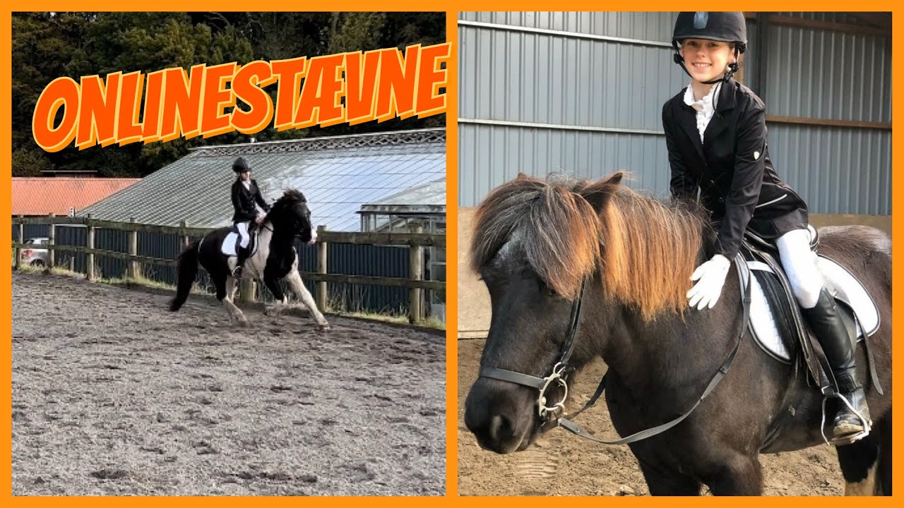 Onlinestævne med Barki og Stjerni - YouTube