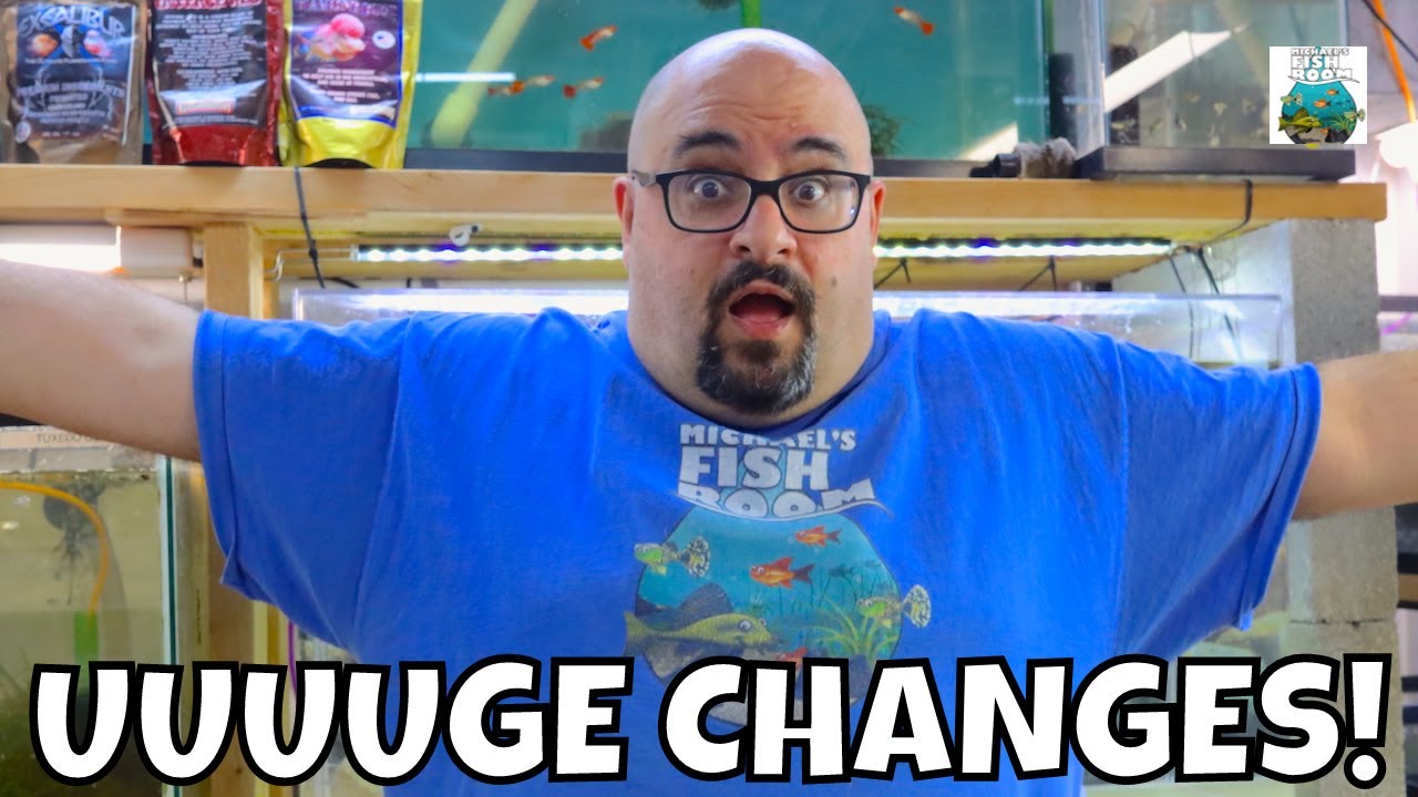 MAJOR CHANGES YouTube major-changes-youtube
