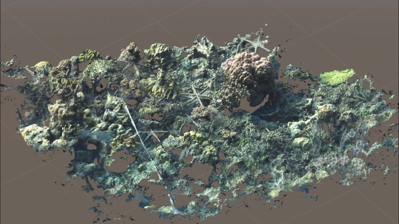 Coral Reef Photogrammetry Inspection in Unity HD 1080 - YouTube