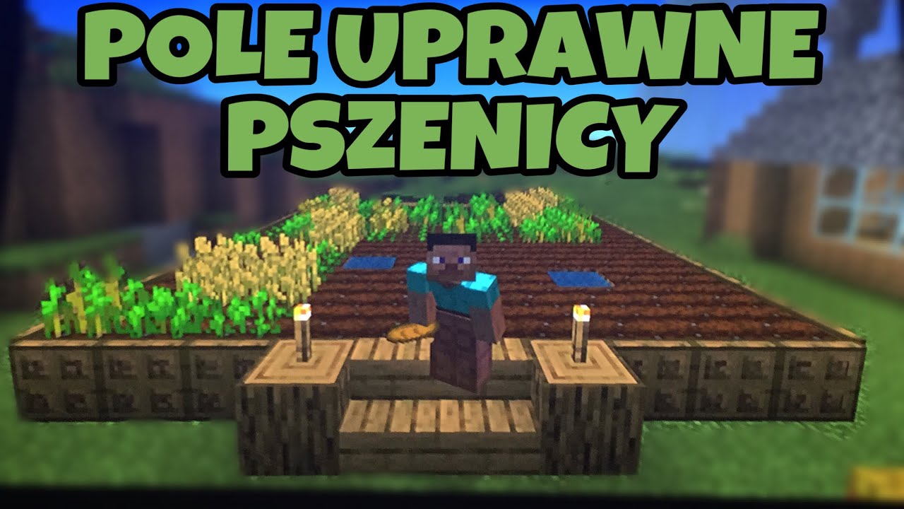 Zbudowałem pole uprawne pszenicy na Jankopolii w Minecraft - #2 🌱 ...