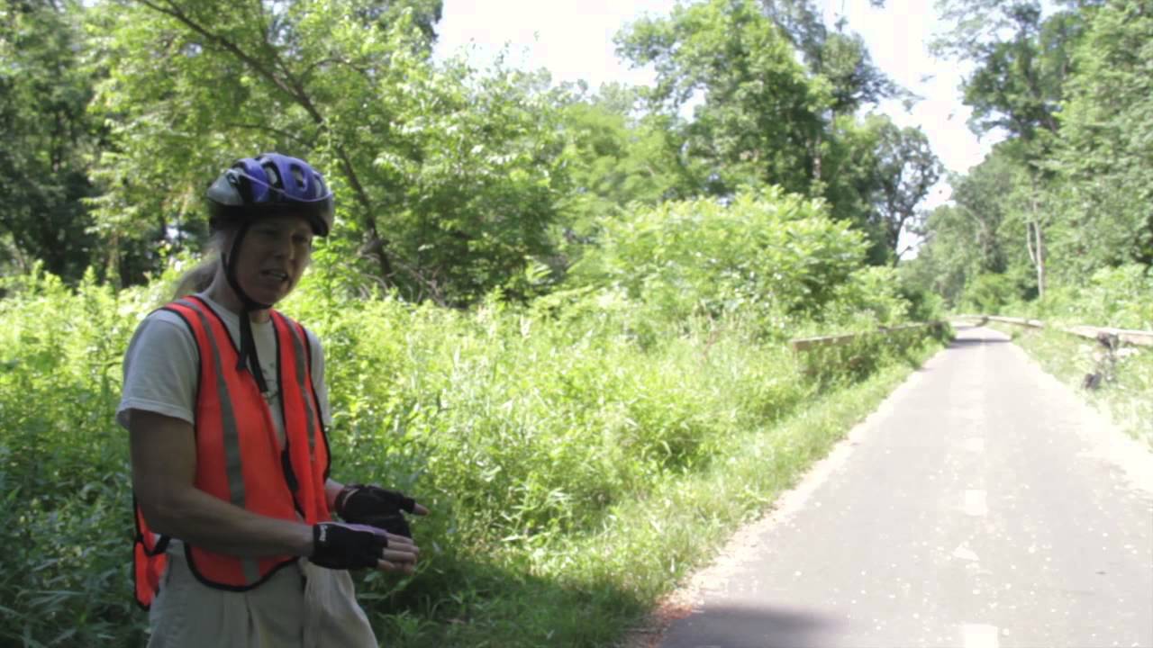 Manhan Rail Trail, Bike Path Thru Easthampton & Northampton, MA ...