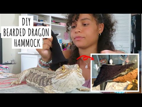 🦎How to Make a DIY Hammock for your Bearded Dragon (Vlog) | Life with ...