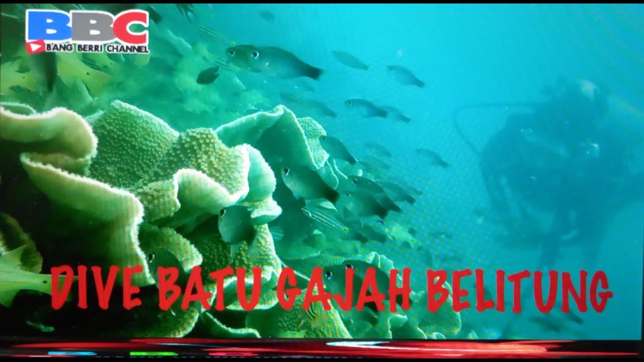 DIVE BATU GAJAH BELITUNG - YouTube