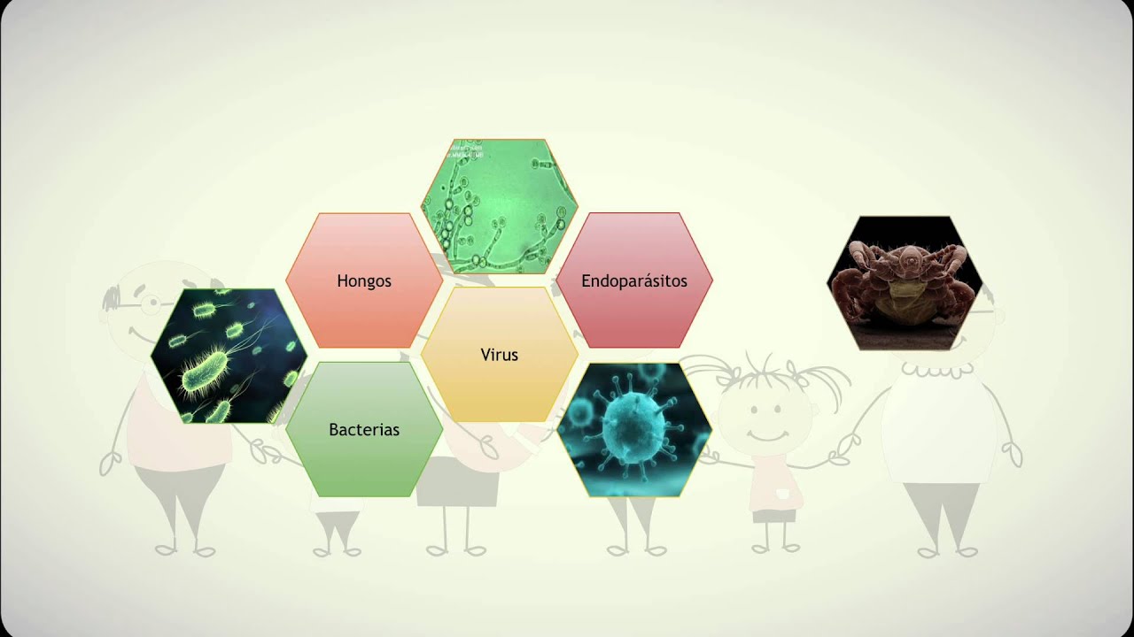 Enfermedades Infectocontagiosas - YouTube
