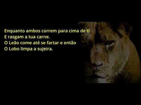 The Lion and The Wolf - Thrice (Legendado PT-BR)