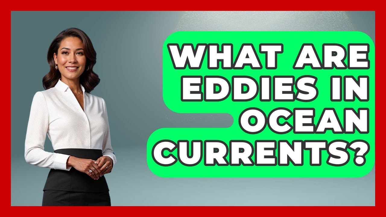 What Are Eddies In Ocean Currents? - The Marine Life Explorer - YouTube