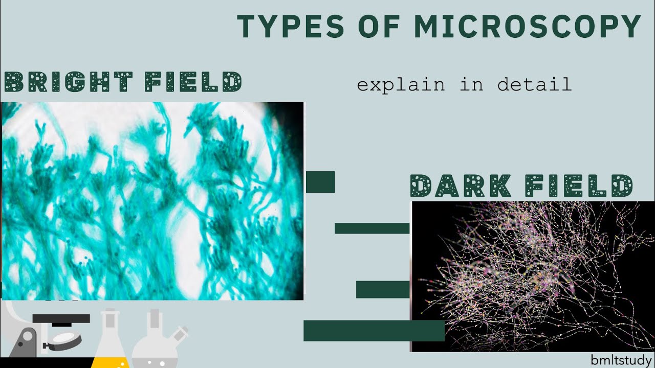 Bright Field aur Dark Field Microscopy Explained! - YouTube