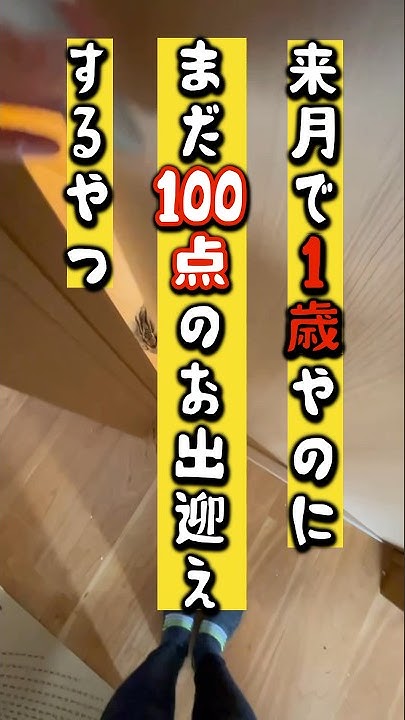 100点のお出迎えするやつ🐱#shorts #猫 #アメリカンショートヘア #多頭飼い #cat #funnycats #アナと雪の女王 - YouTube